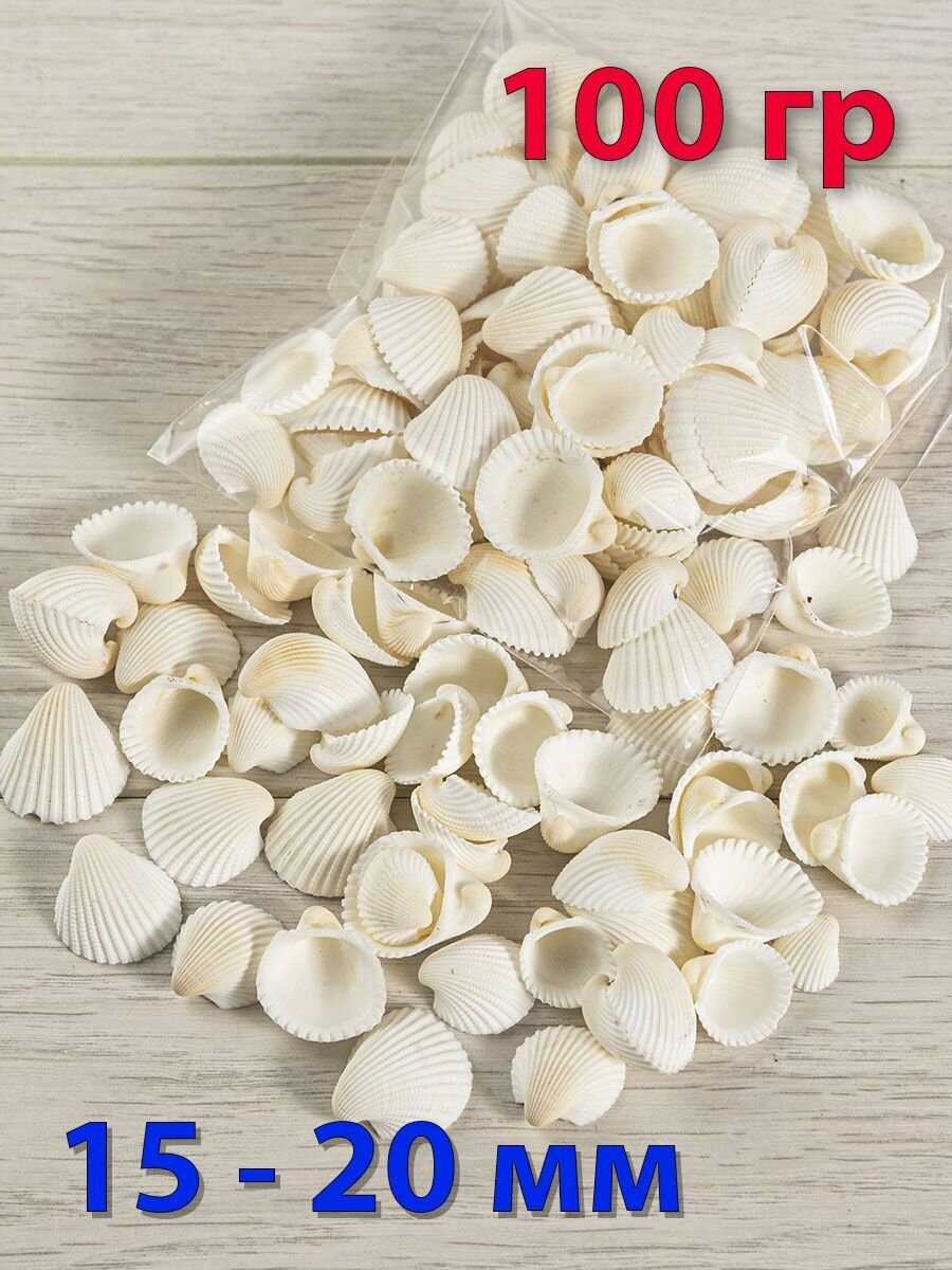 100 гр. Природные материалы Морские ракушки Клам роза мини - Clam Rose