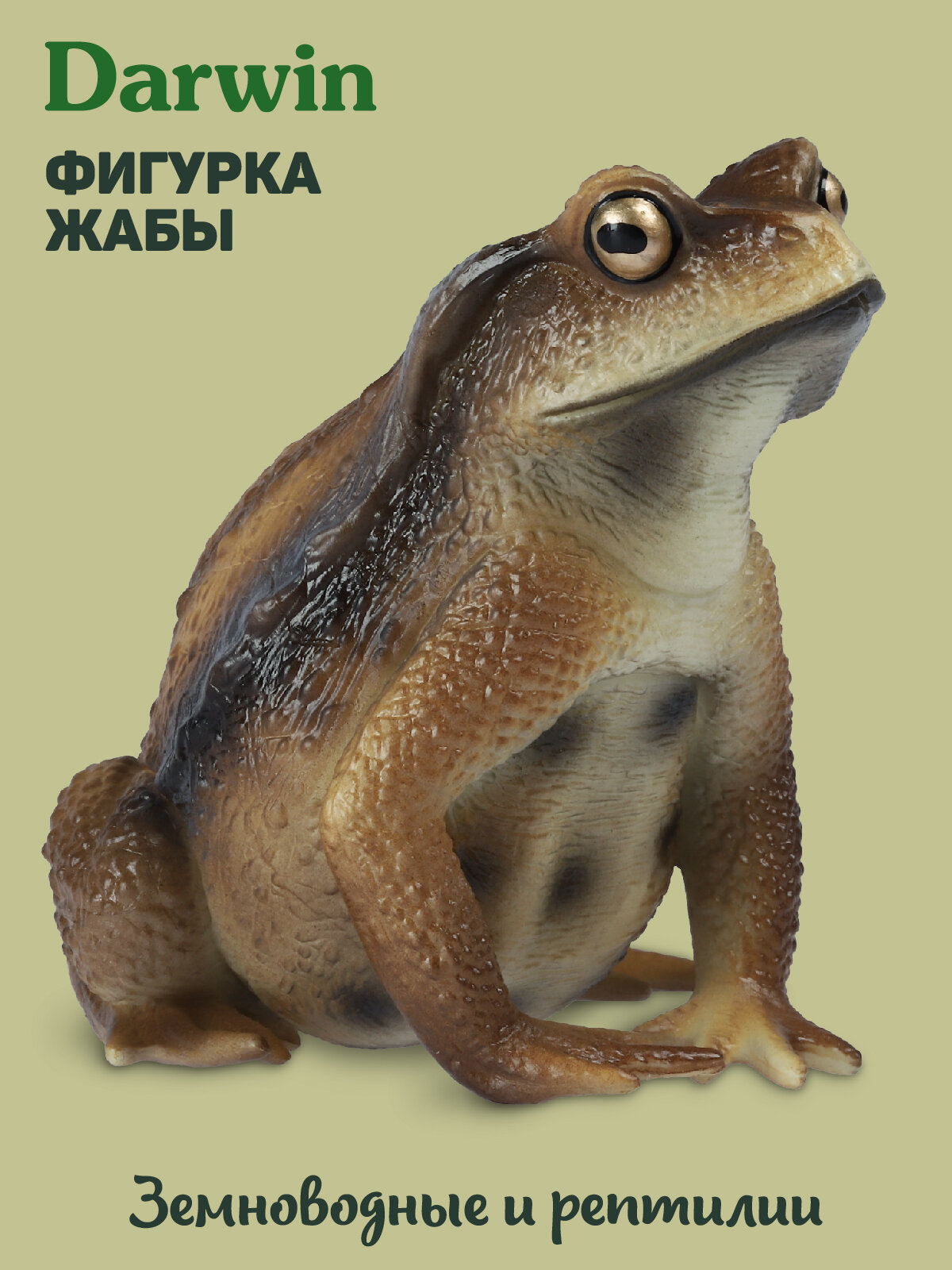 Фигурка коллекционная Лягушка Японская жаба, класс Земноводные животные, JB0213956