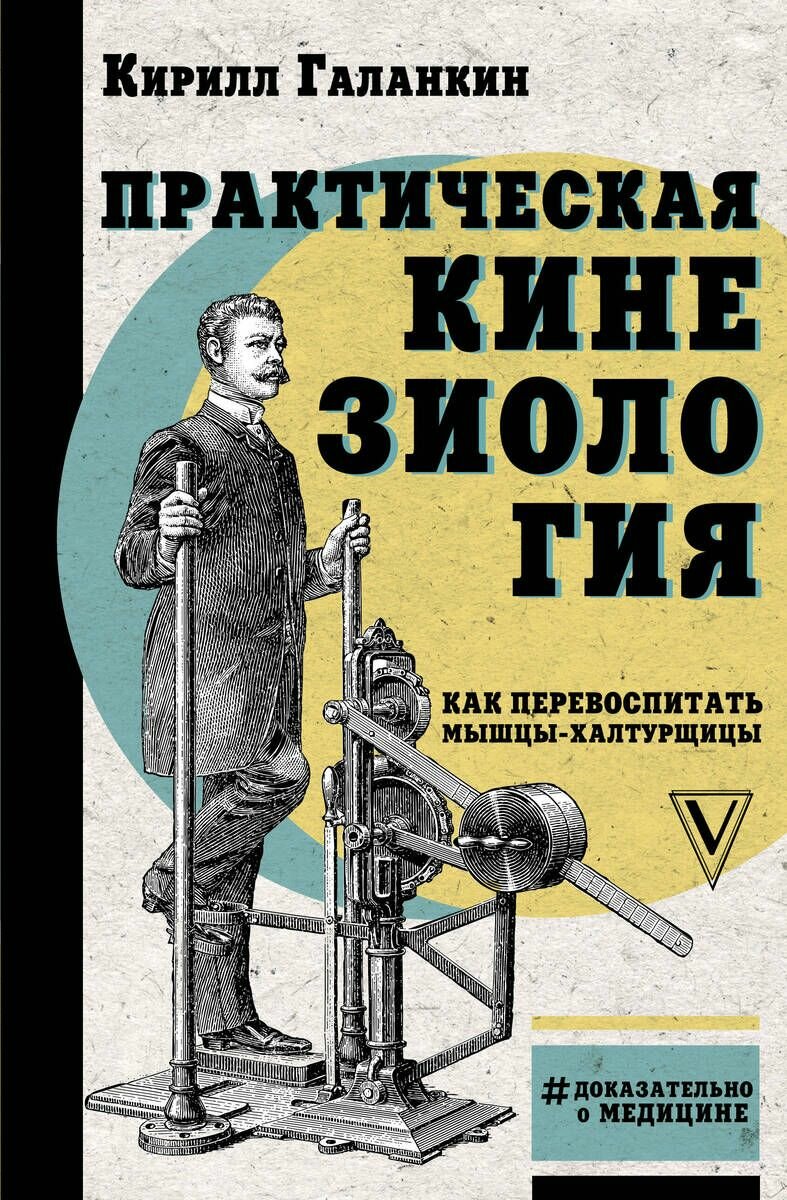 Практическая кинезиология как перевоспитать мышцы-халтурщицы