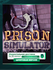 Prison Simulator на PS4 и PS5, цифровая версия, навсегда, гарантия