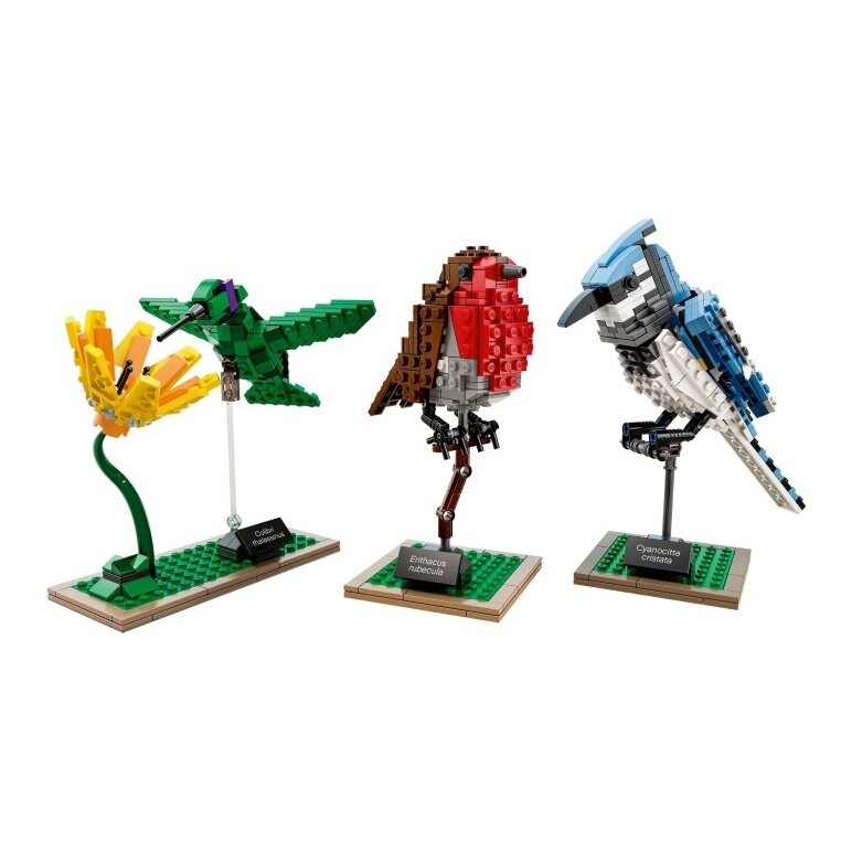 LEGO IDEAS Язык птиц Аромат цветка Креативные наборы 580 шт. 21301 — фото 1