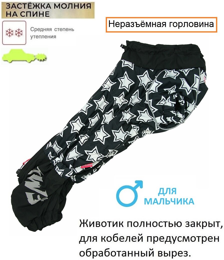 Зимний комбинезон для такс мальчиков "Звезды" (ТМ2 по спине 39см мальчик)
