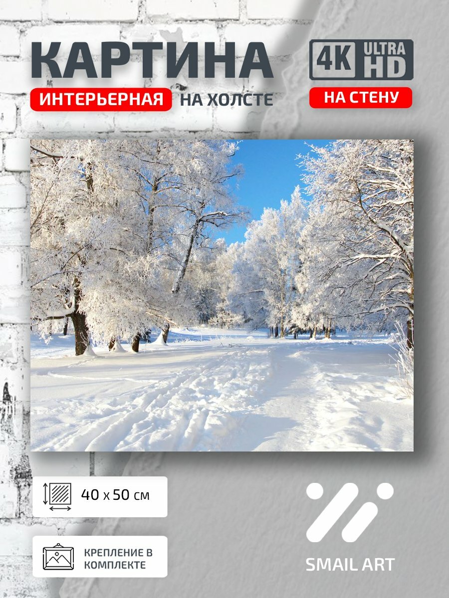 Картина на холсте интерьерная 40 на 50 на стену Снег Landscape для кафе пейзаж интерьер