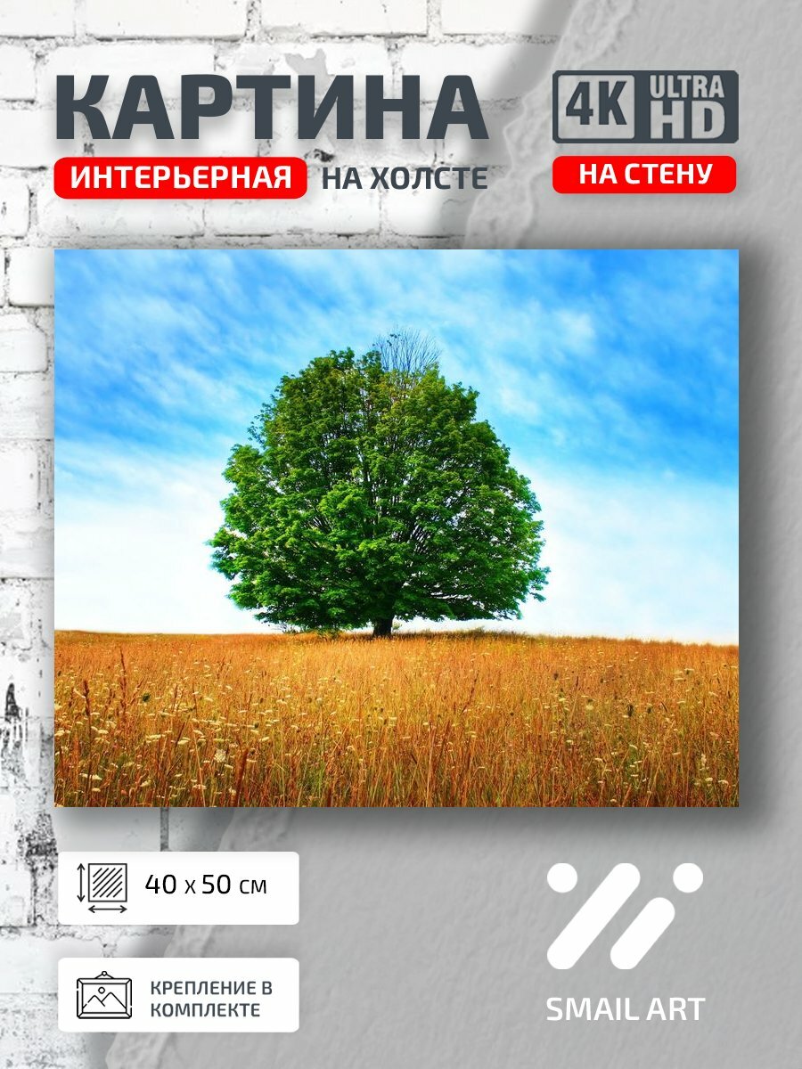 Картина на холсте интерьерная 40 на 50 на стену Свет Landscape для кафе пейзаж интерьер