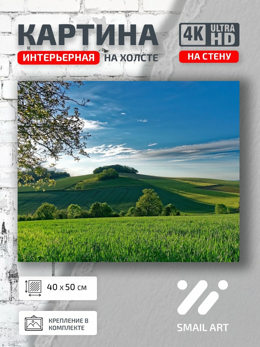 Картина на холсте интерьерная 40 на 50 на стену Зелень Landscape для офиса пейзаж интерьер