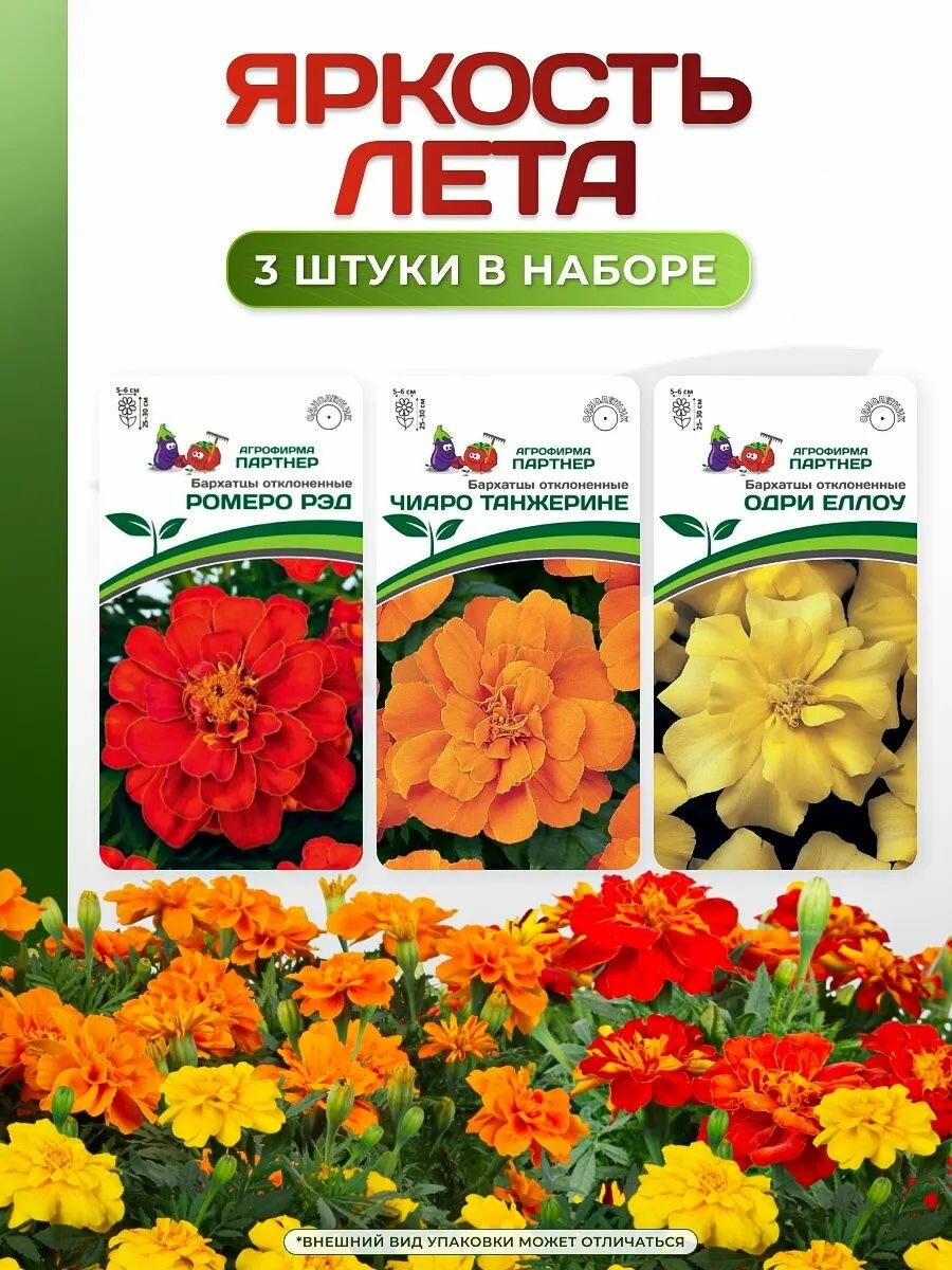 Семена набор: Яркость лета - Ромеро Рэд, Одри Еллоу, Чиаро Танжерине