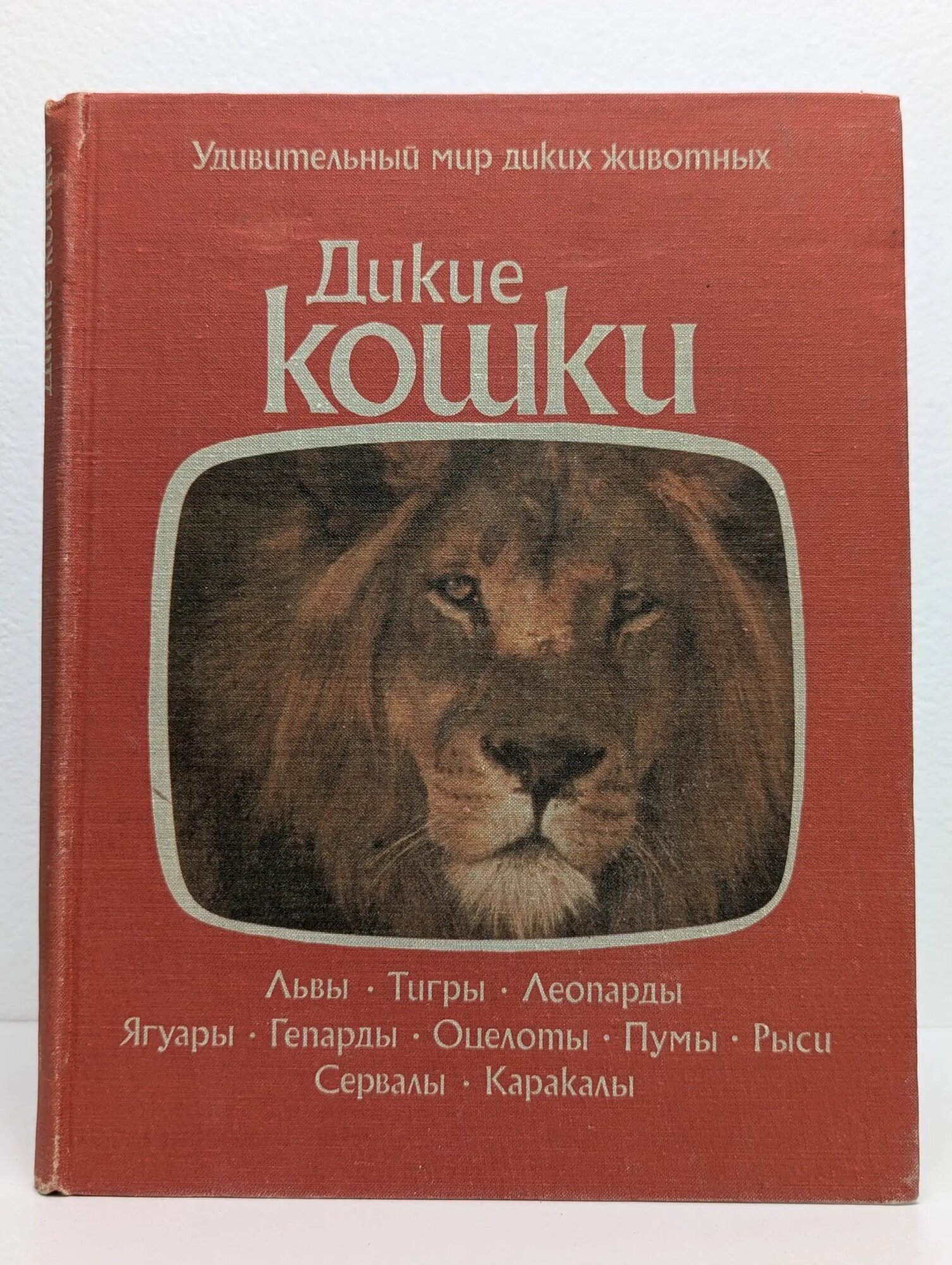 Дикие кошки Банникова А. Г. (ред.) 1981