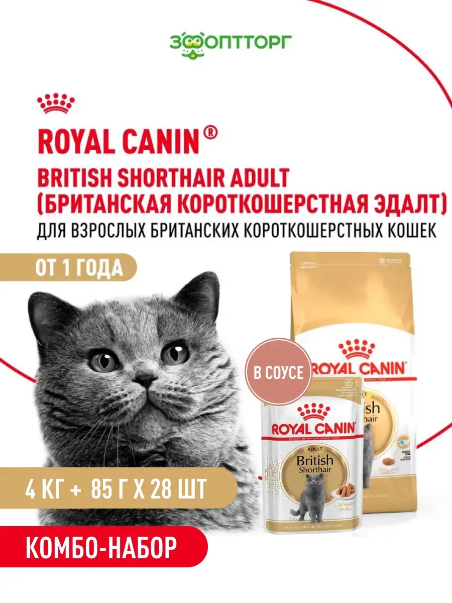 Комбо-набор Royal Canin сухой+влажный корм для взрослых кошек британской короткошерстной породы, 4 кг + 85 г х 28 шт.
