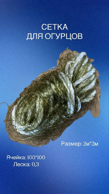 Сетка для вьющихся растений и огурцов размер 2 м х 2 м