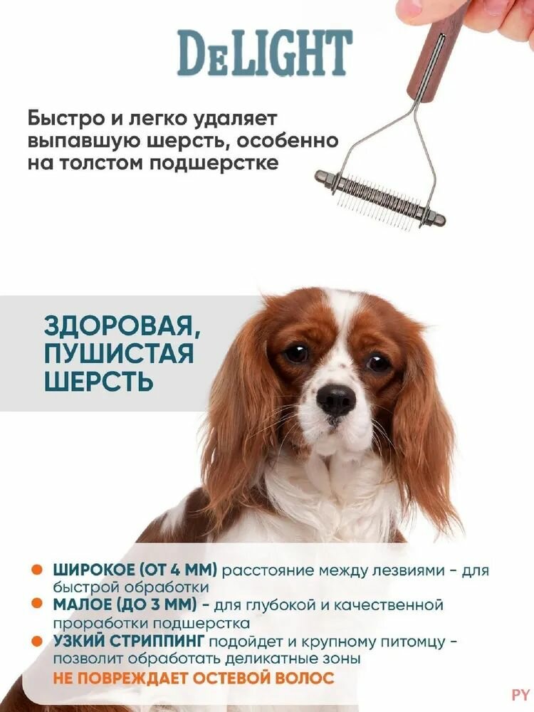 Стриппинг — фото 1