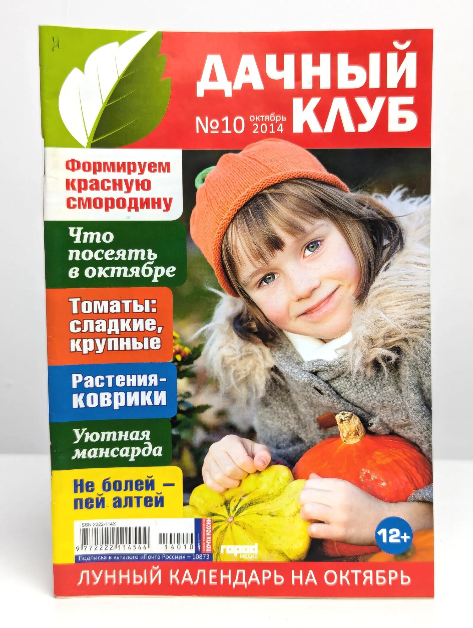 Журнал"Дачный клуб". Выпуск № 10, 2014 ред. Шевченко А. М. 2014