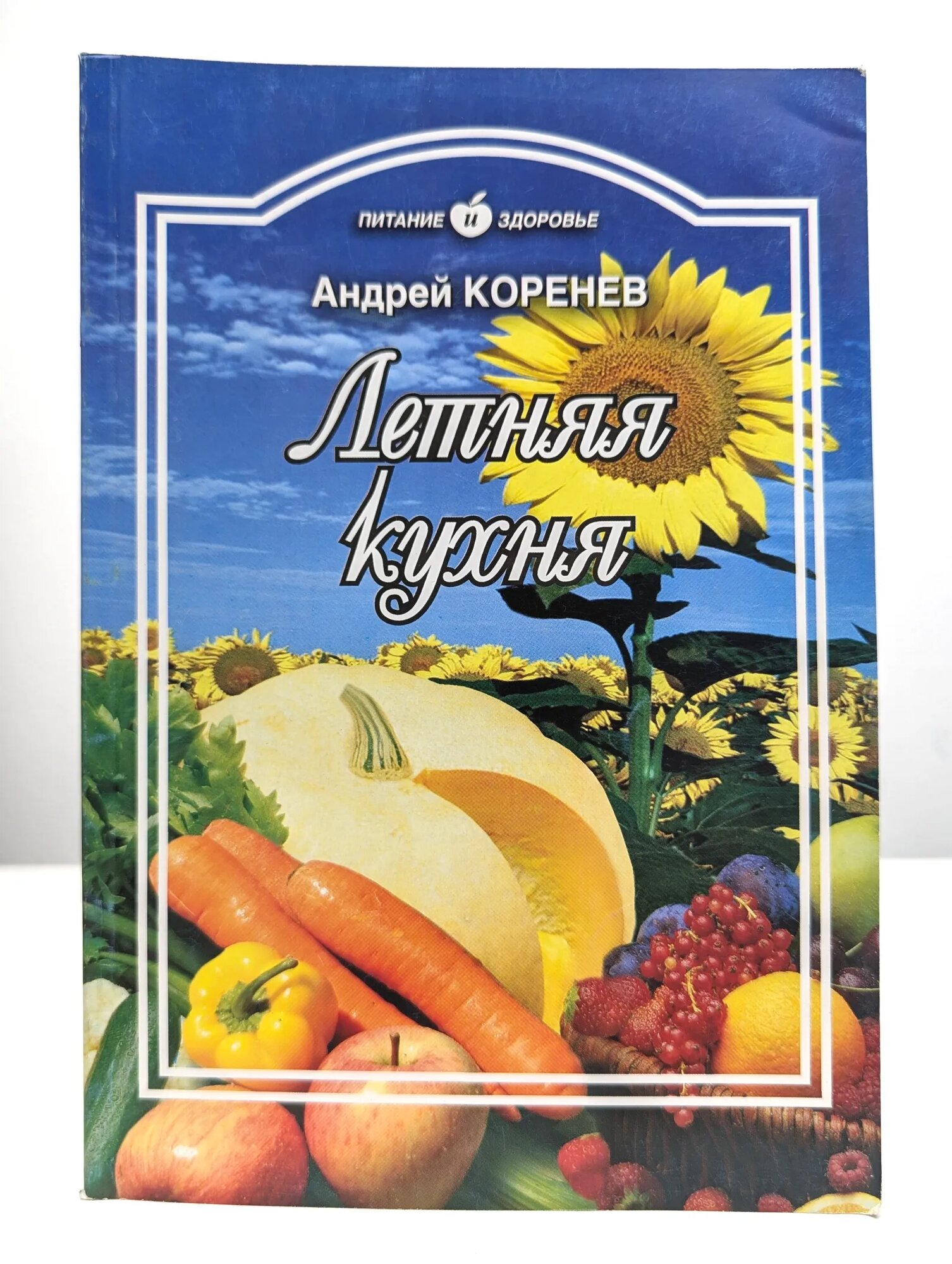 Летняя кухня Коренев А. Н. 2011