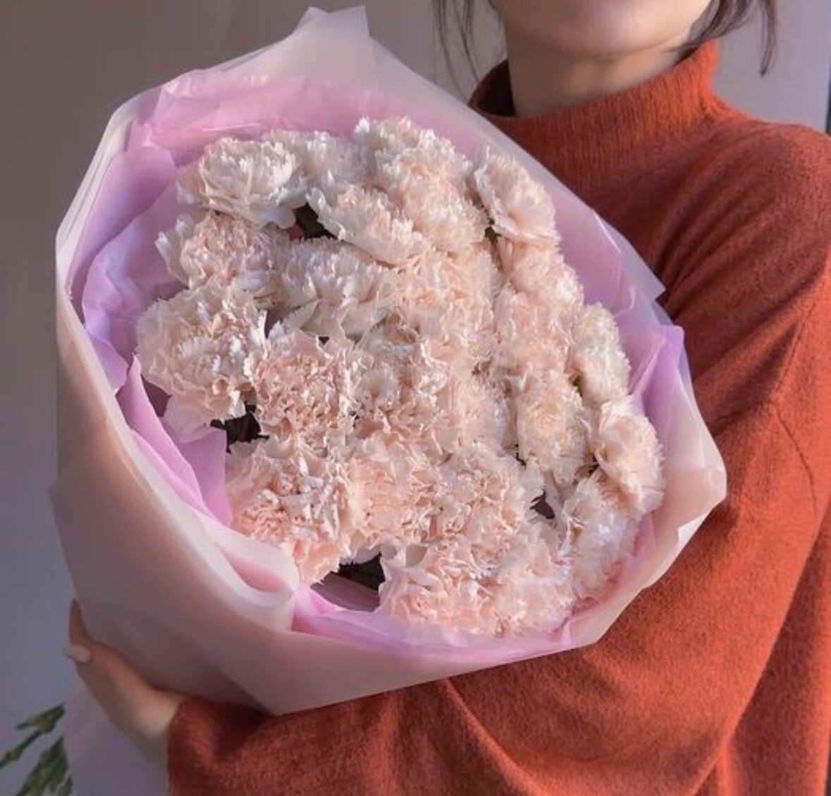 Букет красивые и пышные бежевые диантусы (гвоздики, 25 штук)