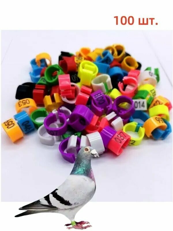 Меточные кольца для птиц 8мм 100шт, родовое маркировочное кольцо на лапку для голубей