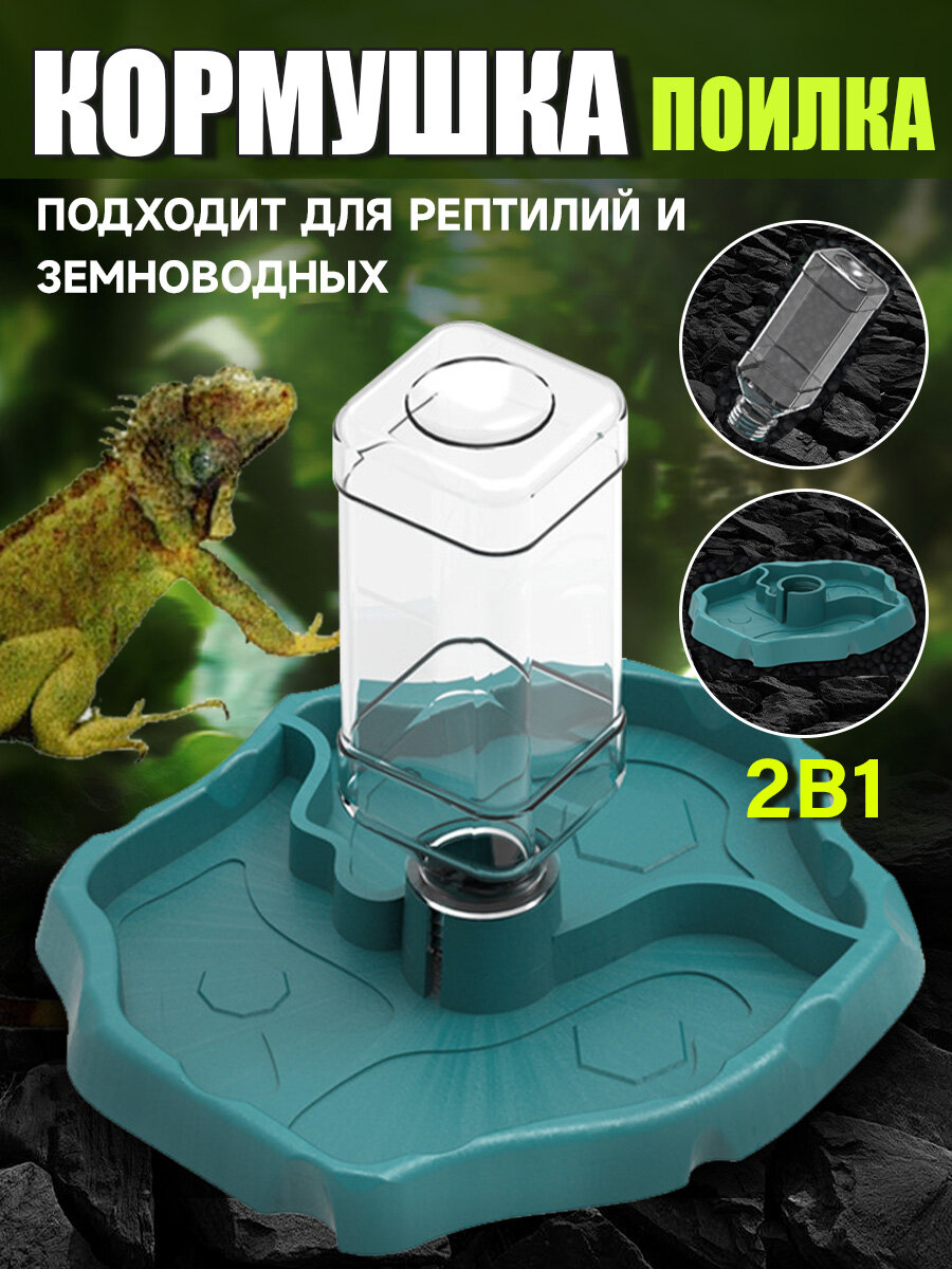 Кормушка поилка для ящериц, пауков, игуан, хамелеонов, рептилий и черепах для террариума и аквариума