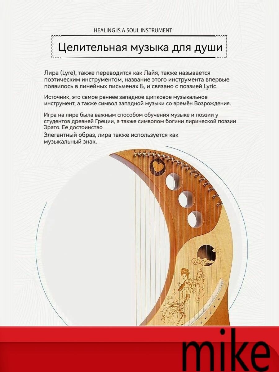 Струнный инструмент — фото 1