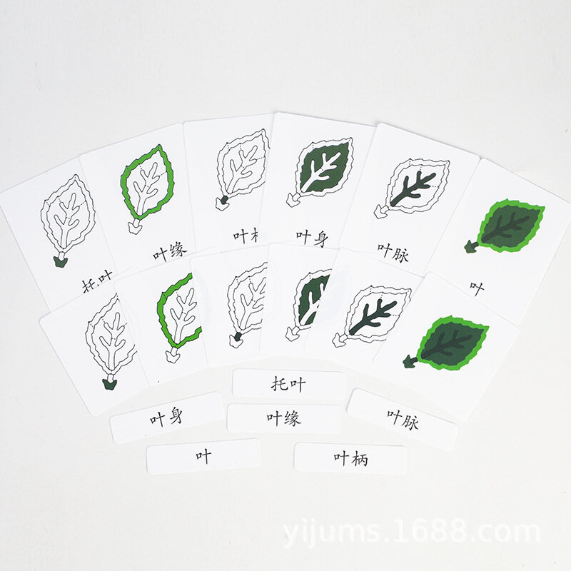 Монтессори Раннее обучение детей Трехсегментная карта с животными и растениями Трехкомпонентная Когнитивная карта