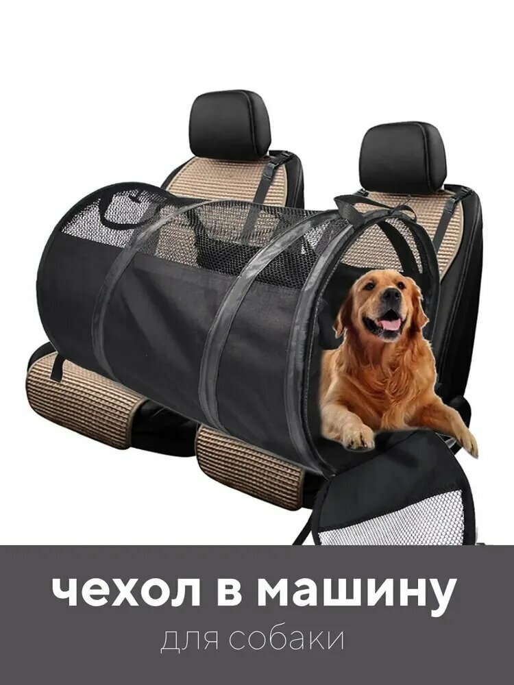 Автобокс для животных