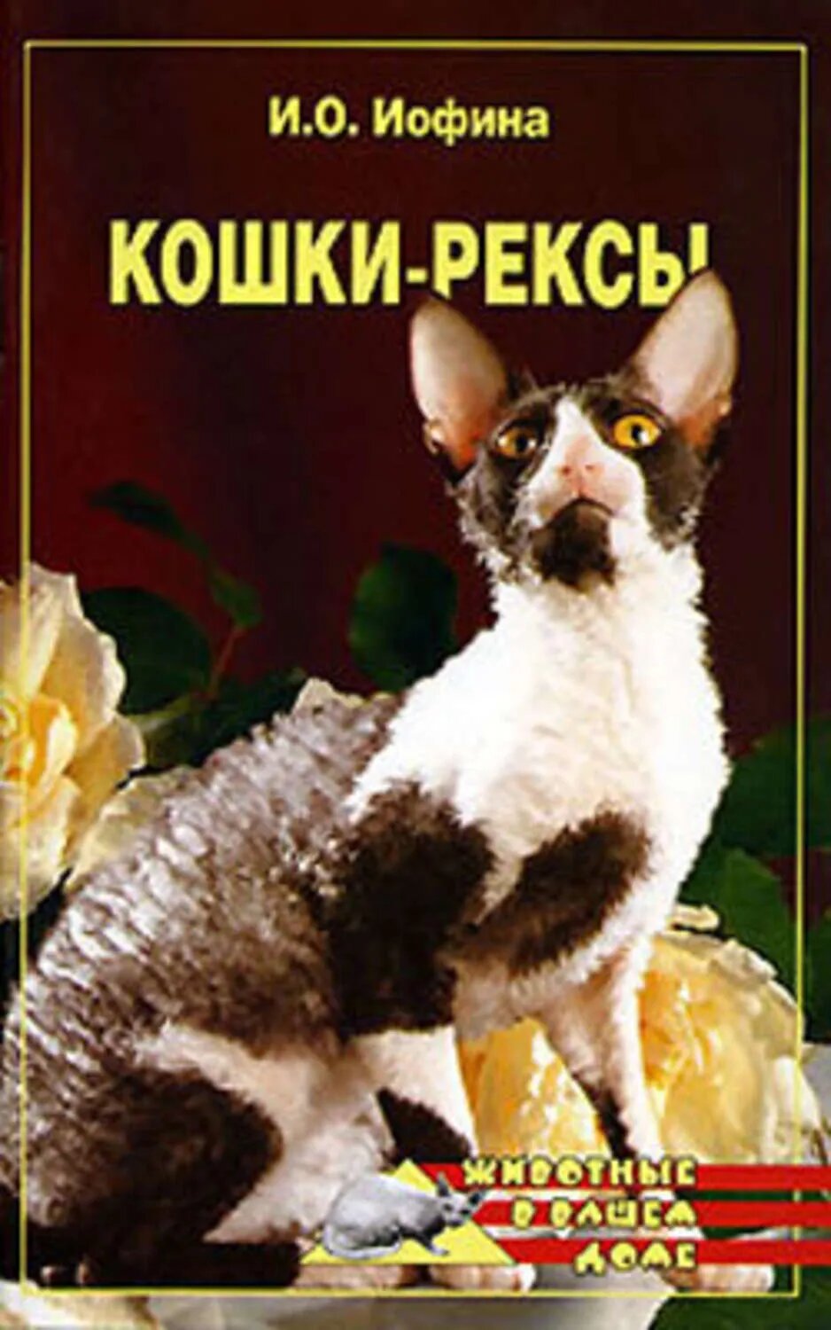 Кошки – рексы [Цифровая книга]