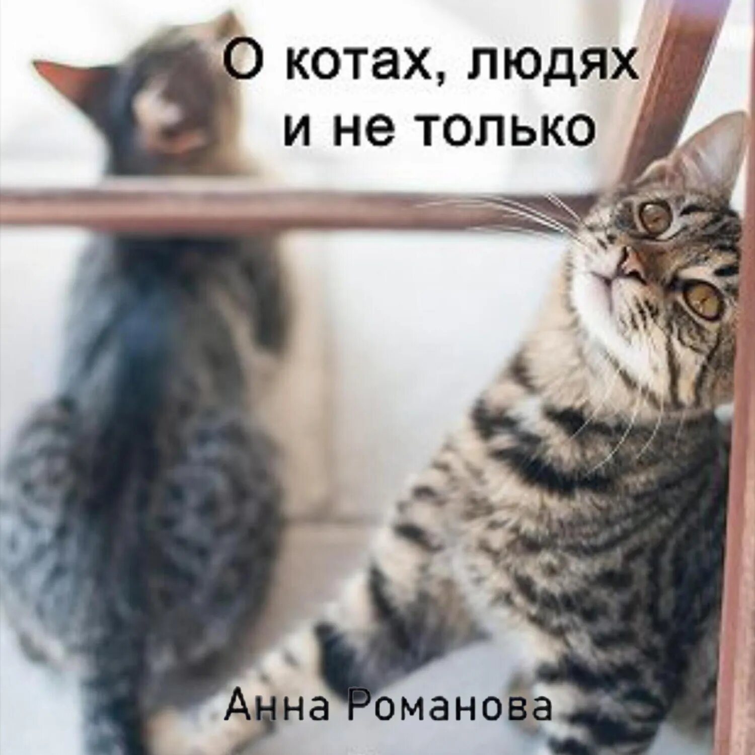 О котах, людях и не только [Аудиокнига]