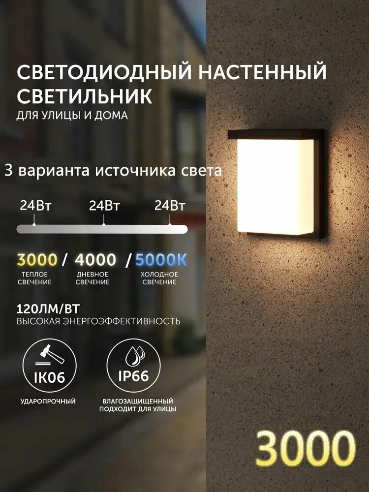 Уличный светильник, Без цоколя, количество ламп:1шт