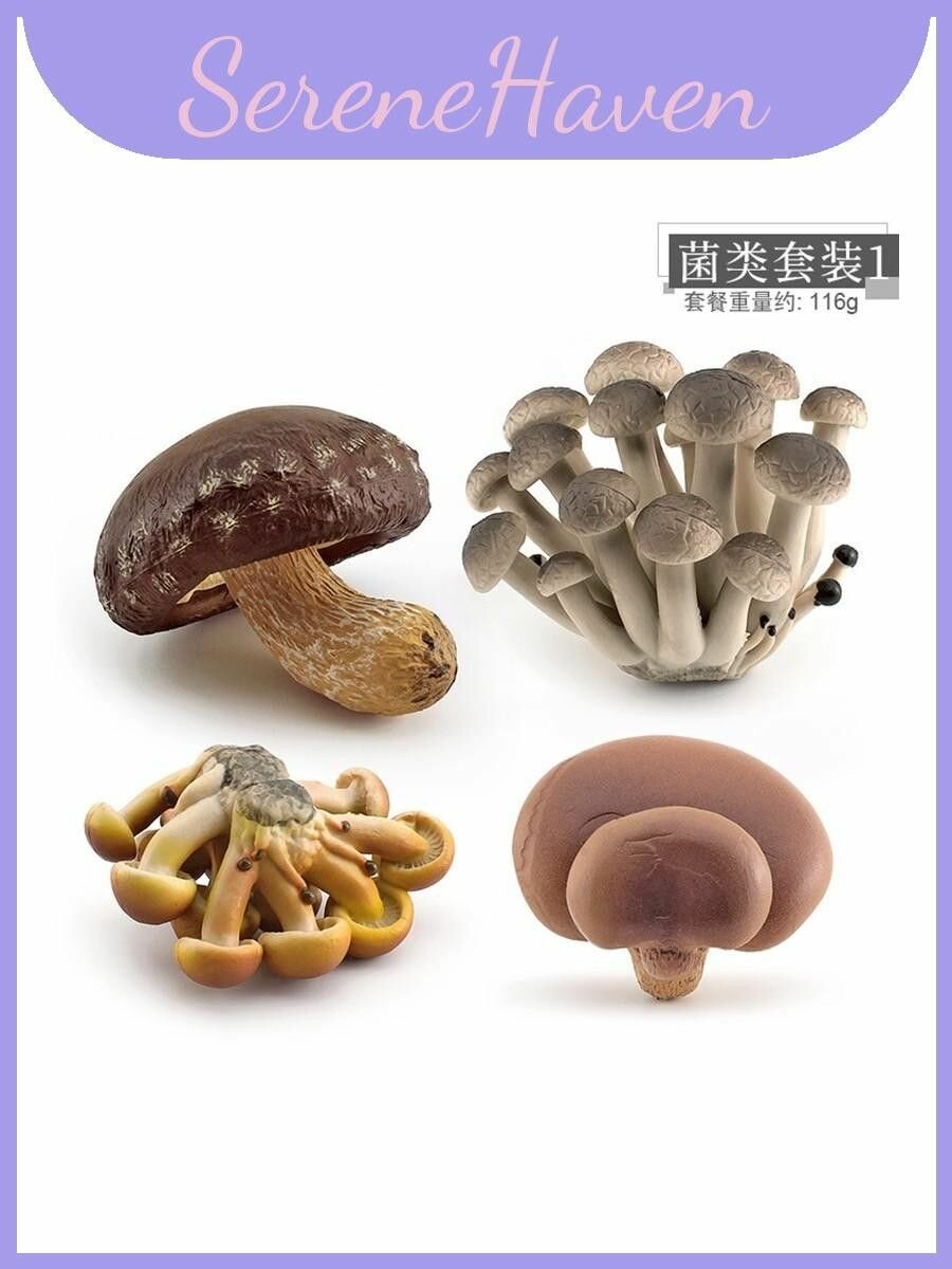 Набор реалистичных грибов: шиитаке, эноки, мацутаке и яркие ядовитые зонтики, идеален для декора дома или