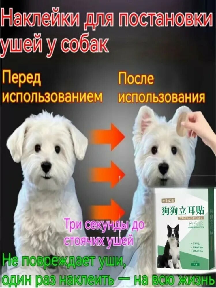 Устройство для стояния в ушах собаки/вспомогательный пластырь коррекции ушей