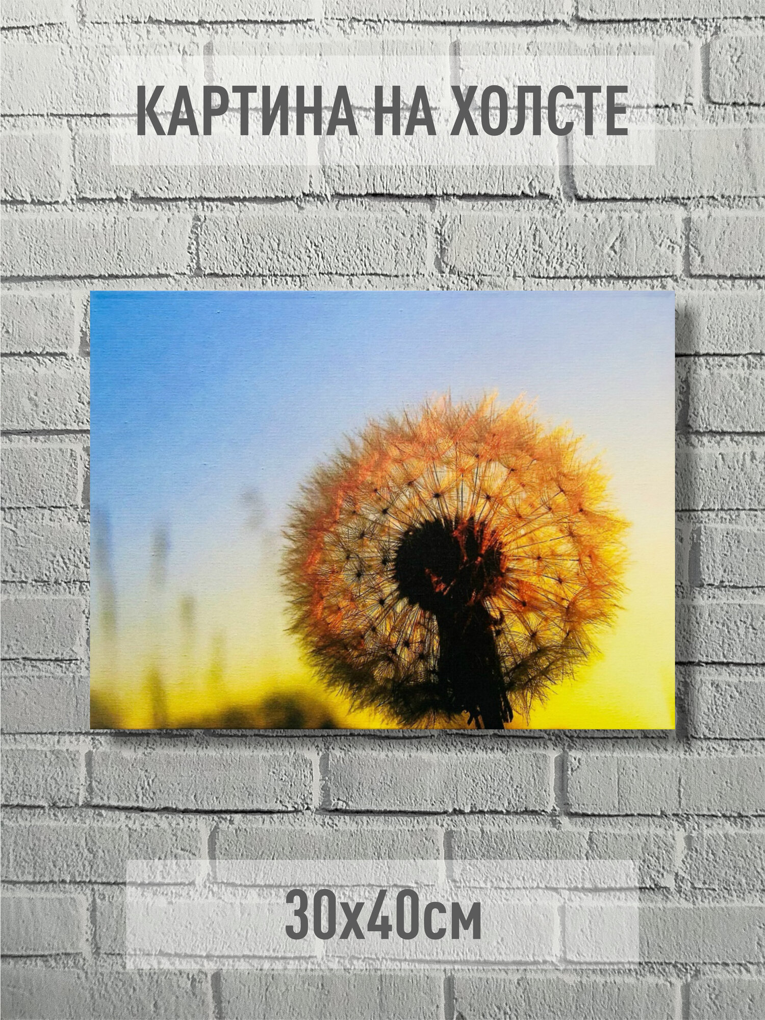 Картина "Одуванчик", холст из 100% хлопка, УФ-печать, 30x40 см