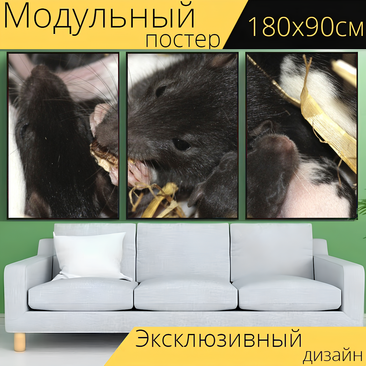 Модульный постер "Крысы, цветная крыса, животное" 180 x 90 см. для интерьера на стену в тубусе