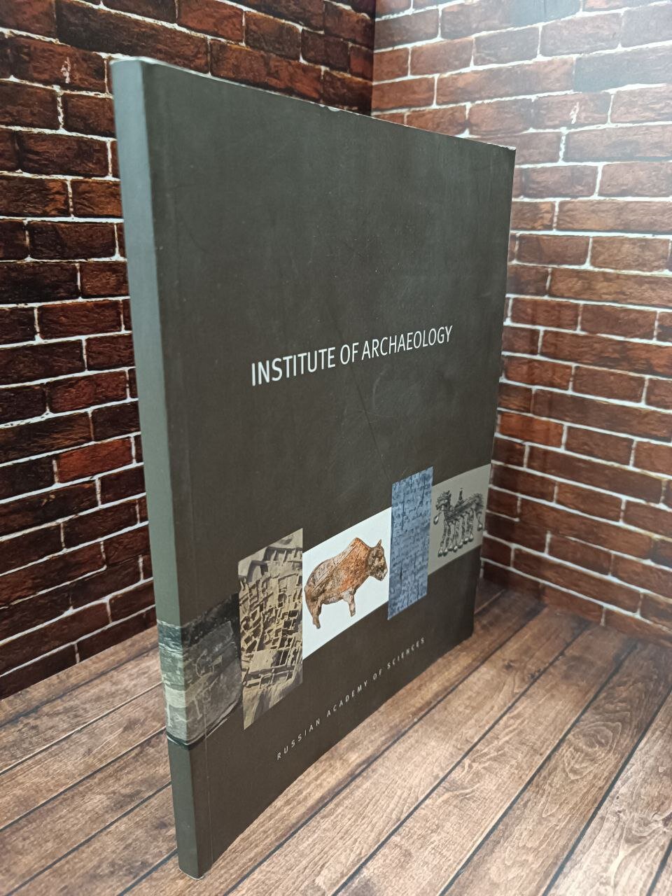 Institute of Archaelogy, Russian Academy of Science 2009 год