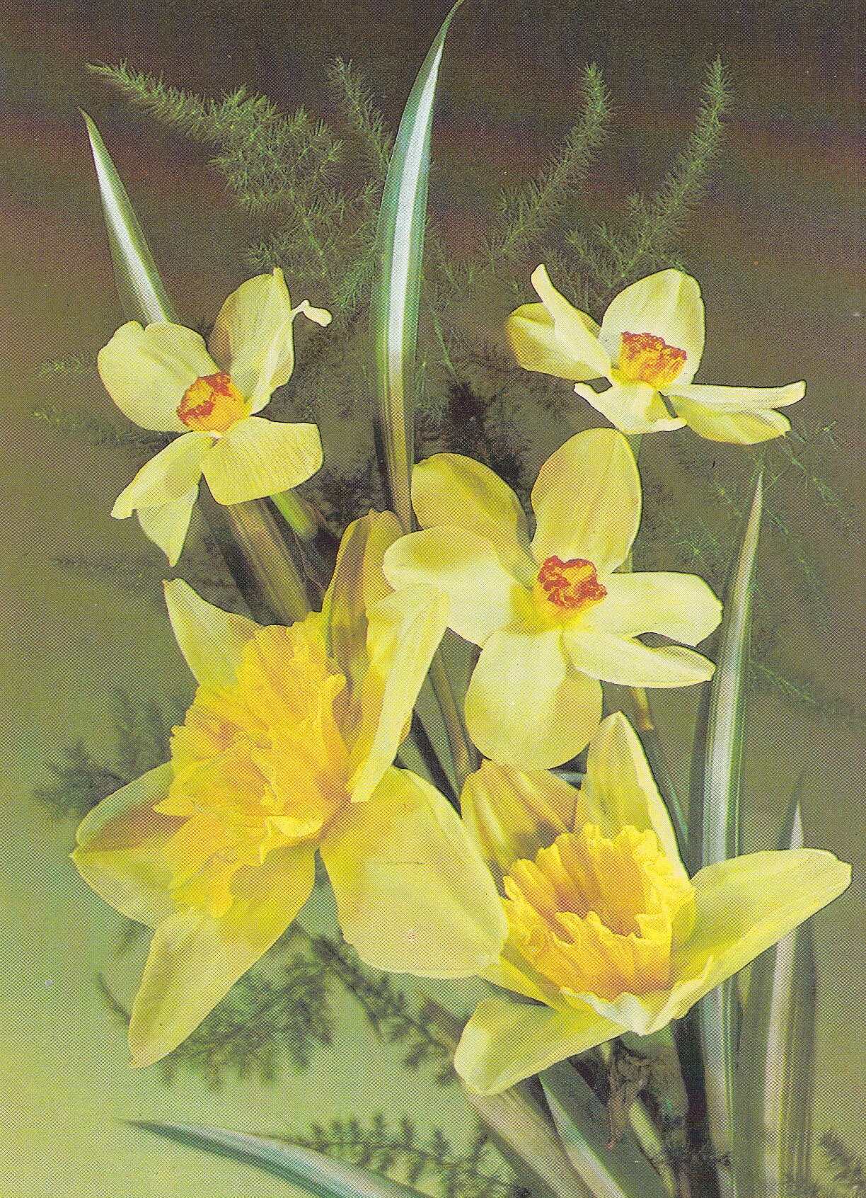 Оживающая открытка №8 Старая открытка "8 марта"