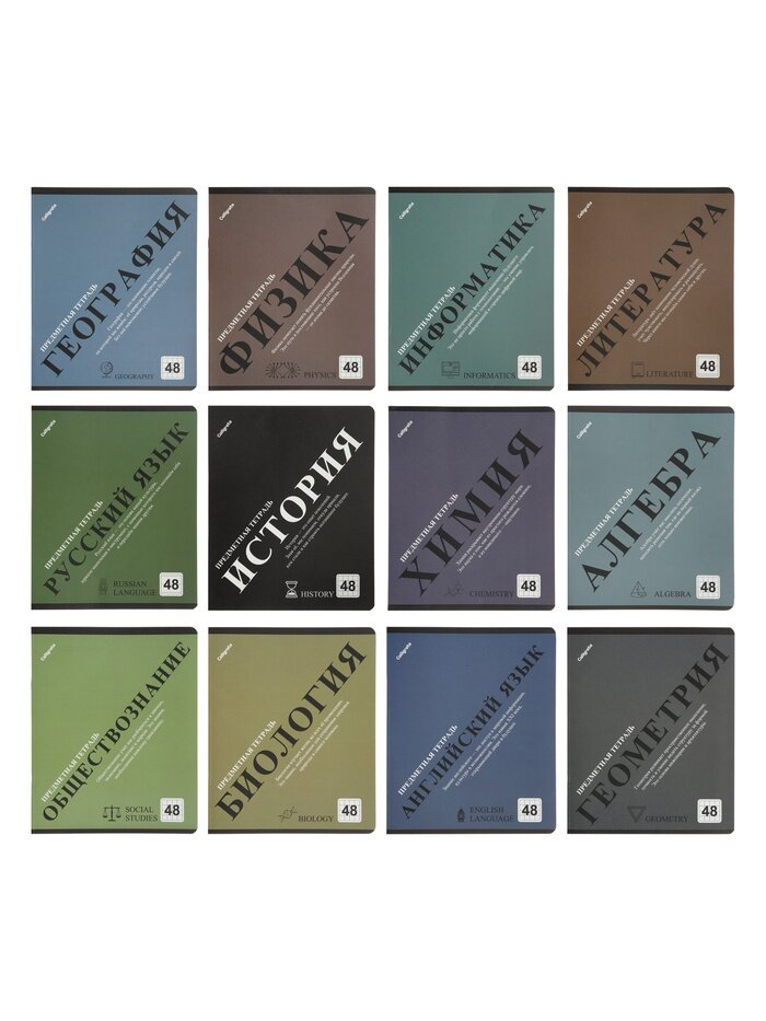 Комплект 12 предметных тетрадей 48 листов, справочная информация, 60 г