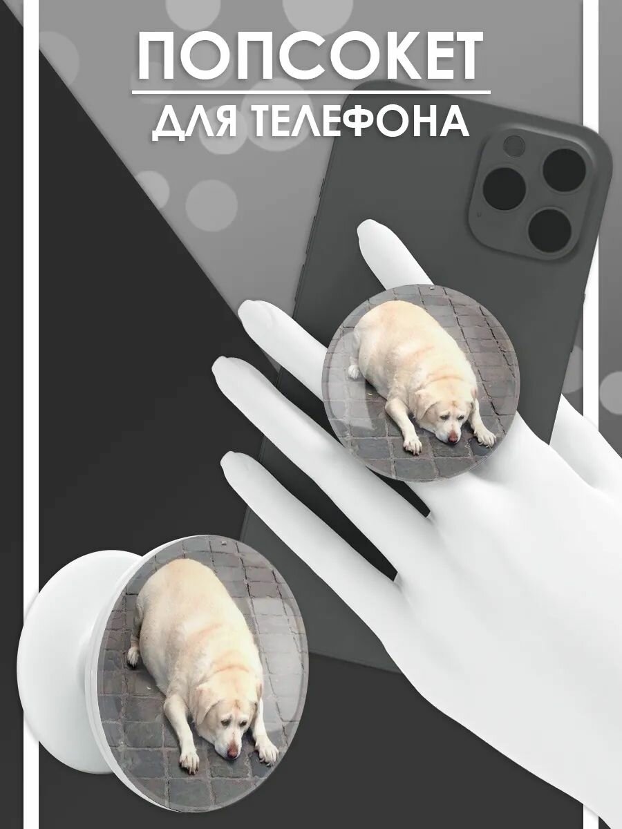 Попсокет Собака, держатель для телефона
