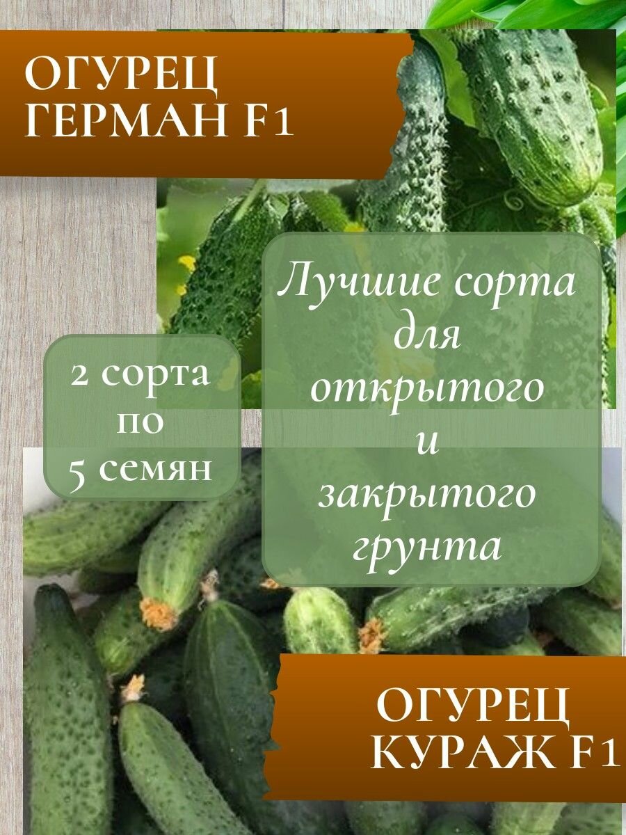 Набор семян огурцов "Герман F1" и "Кураж F1", огурцы для всех регионов