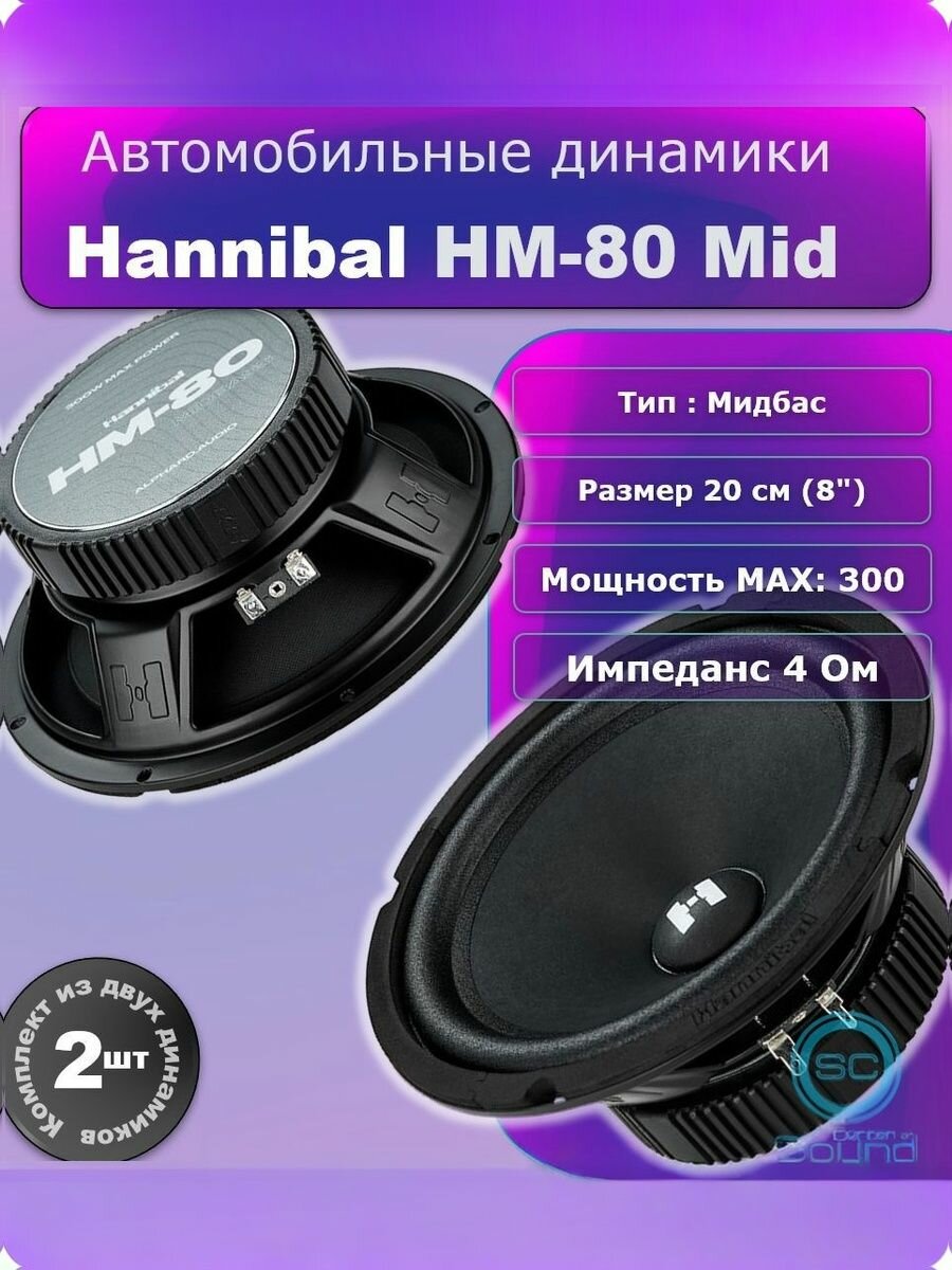 Колонки автомобильные динамики 20 см Deaf Bonce Hannibal HM-80 Midbass автоакустика Alphard