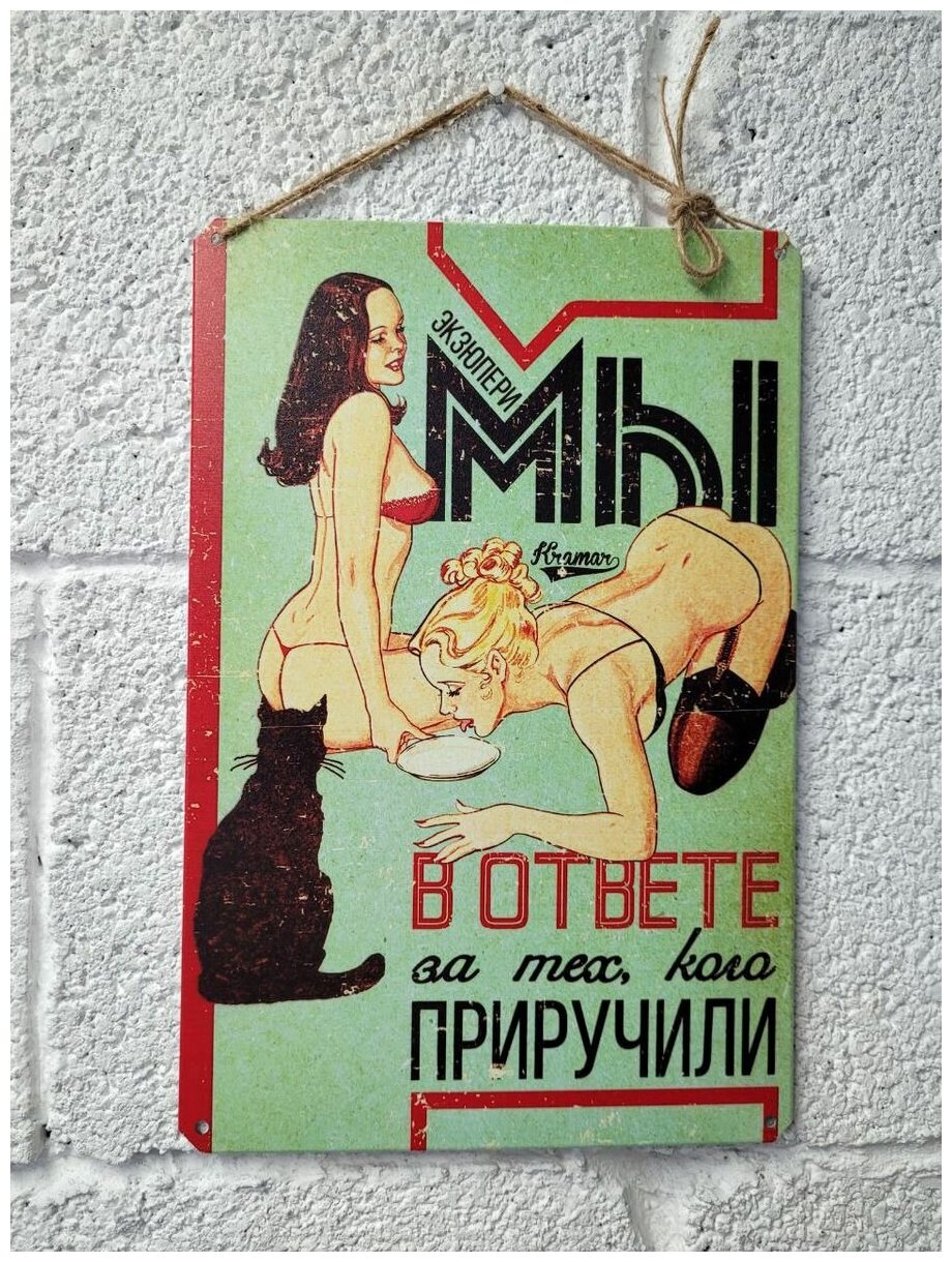Прикольные подарки, мы в ответе за тех кого приручили, мотивация постер на стену 20 на 30 см. шнур-подвес в подарок