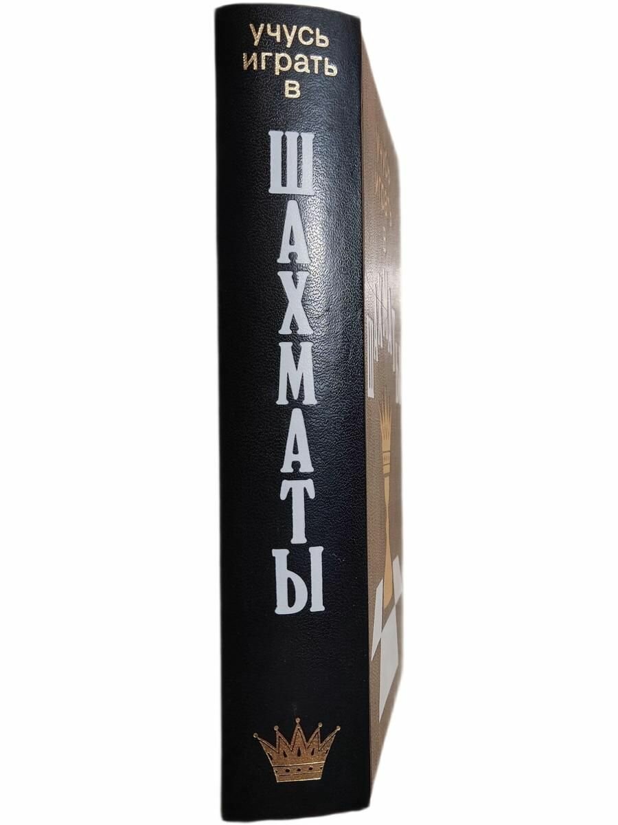 Учусь играть в шахматы — фото 1
