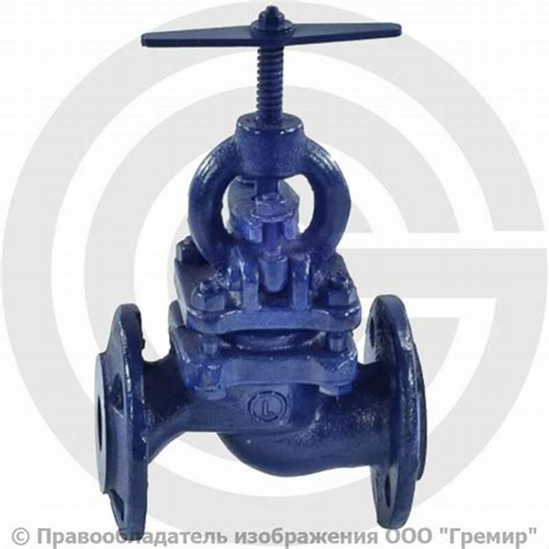 Клапан чугунный 17ч3бр, Ду 025