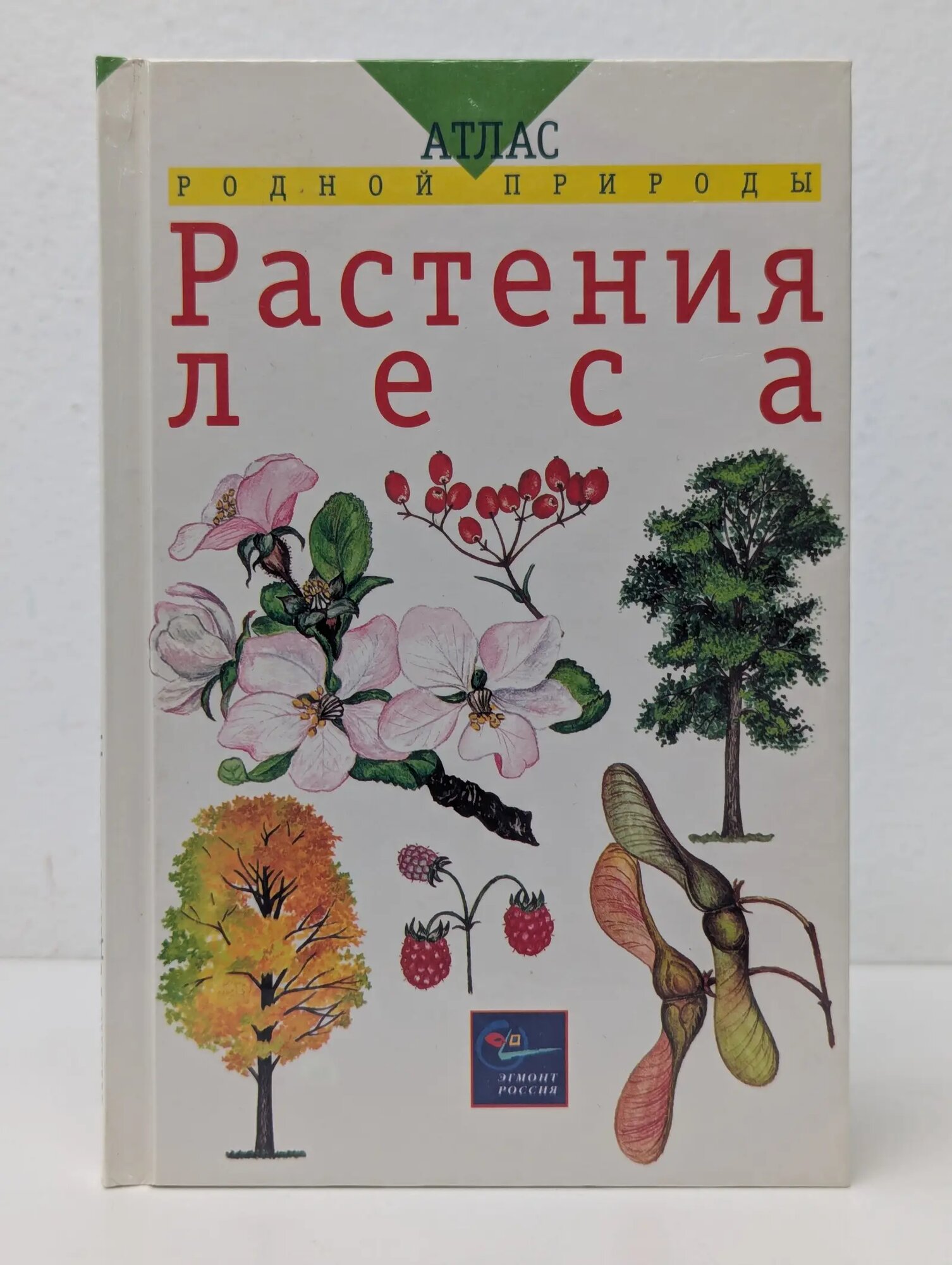 Атлас родной природы. Растения леса Козлова Татьяна Александровна, Сивоглазов Владислав Иванович 2000