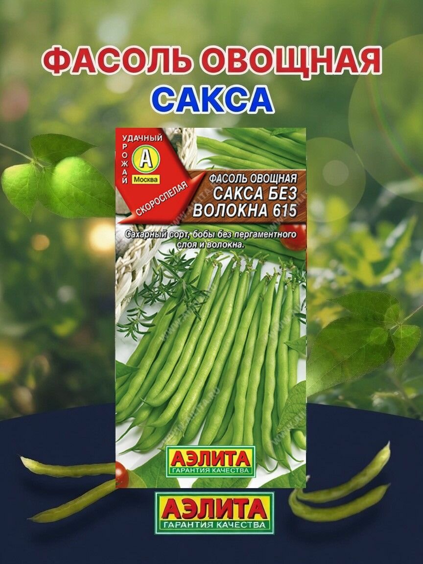 Семена фасоли овощной Сакса без волокна 615 (1 шт.)