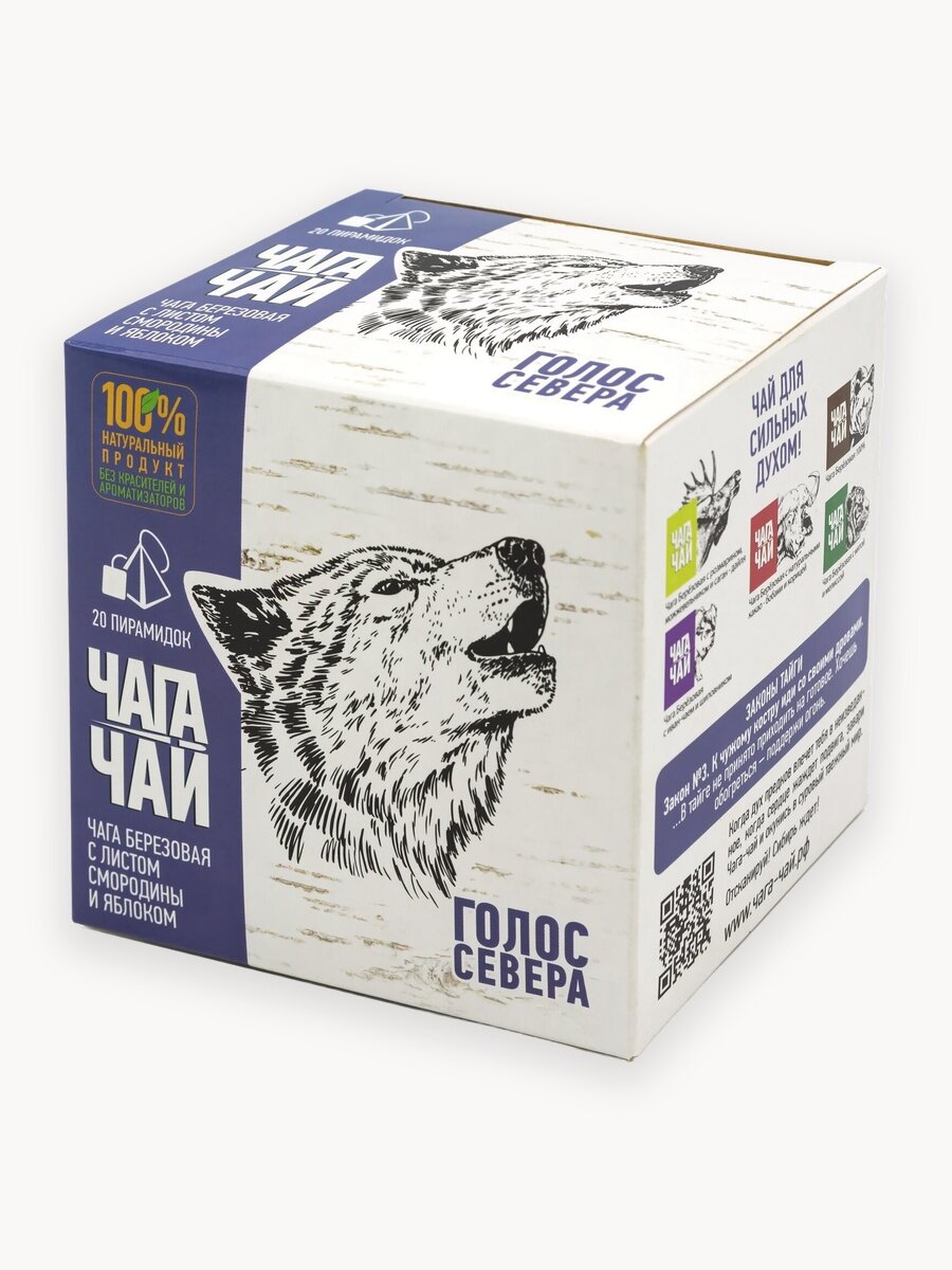 Чага-Чай Голос Севера, в пирамидках, с листом смородины, яблоком, 20шт