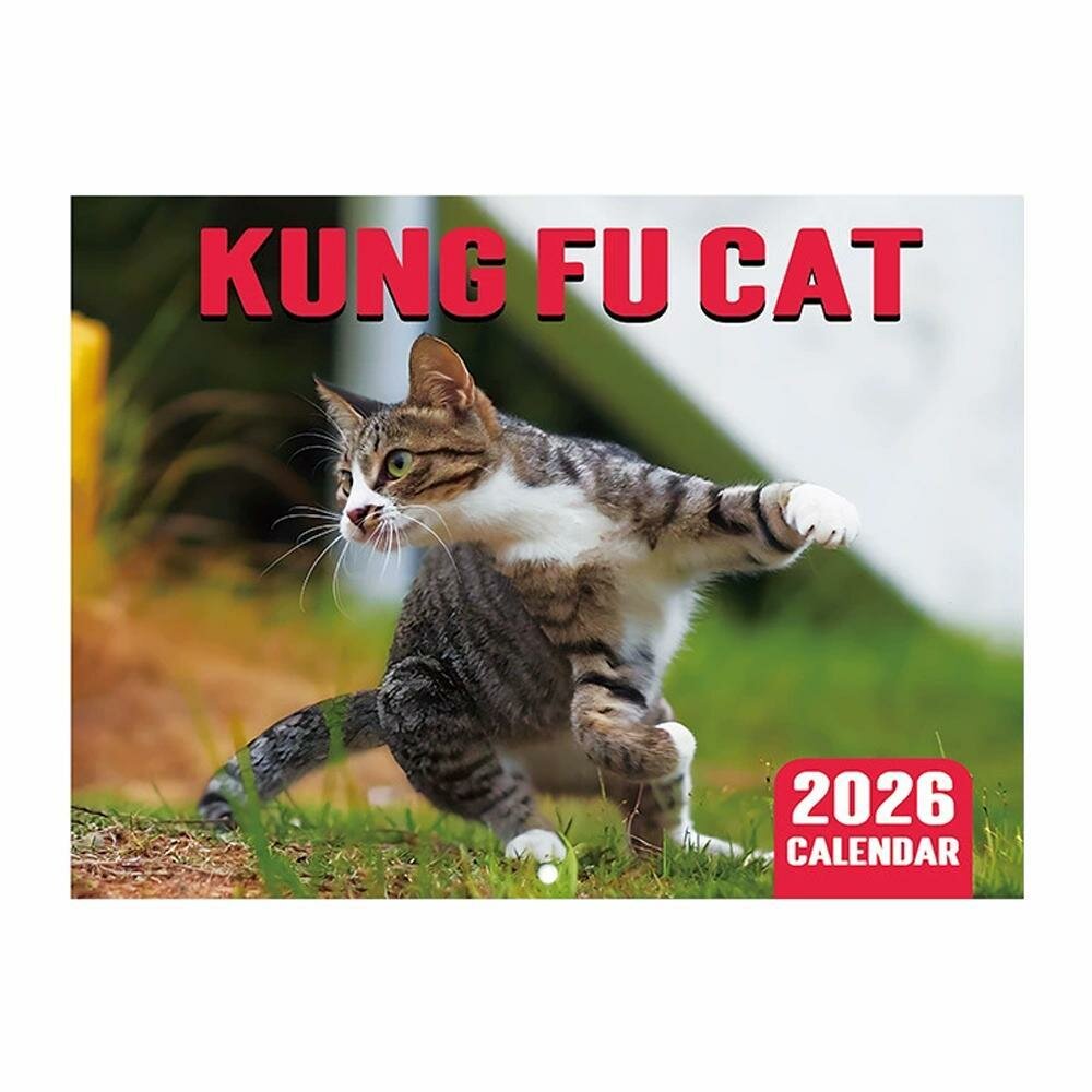 12-месячный календарь кунг-фу кошек на 2026 год