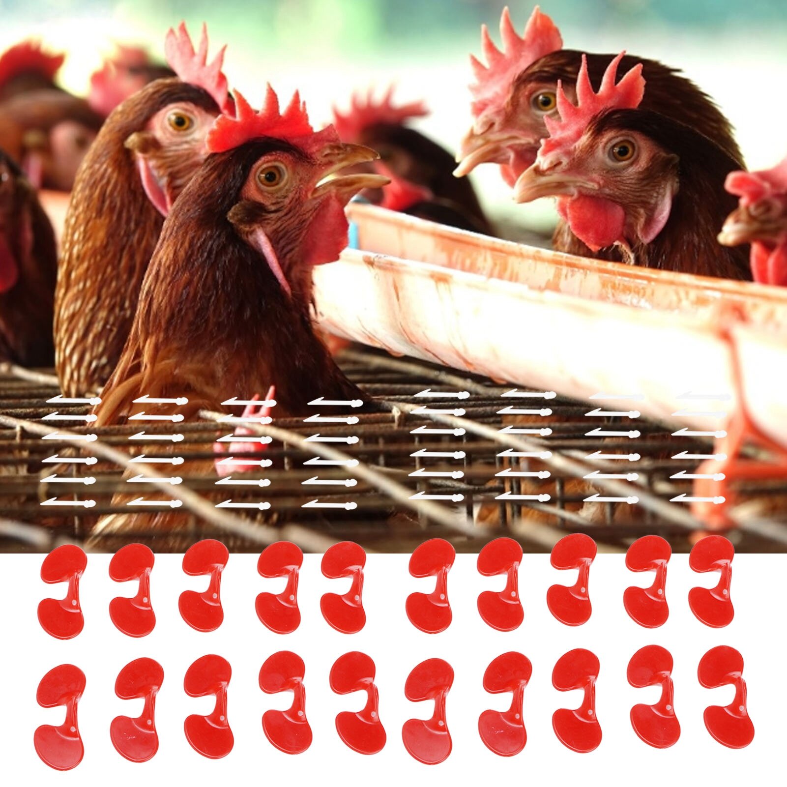 1000 компл, 6 см, куриные шоры с отверстиями, пластиковые антиклевочные куриные очки, аксессуары для очков