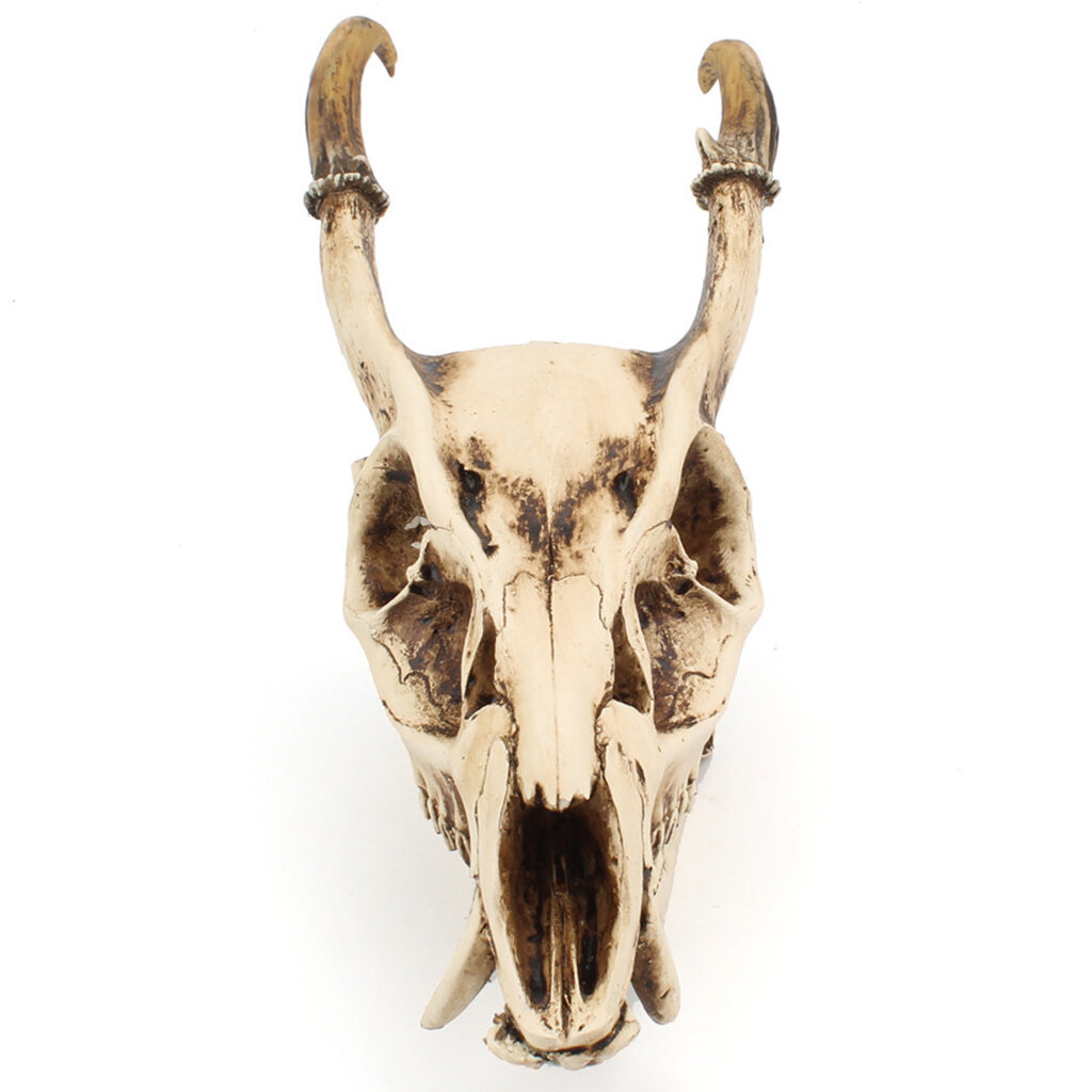 Имитация Черепа Дикого Козла Настольные Украшения Домашний Декор Интерьера для Креативной Модели для Домашнего Внутреннего Украшения Рабочего Стола Ar