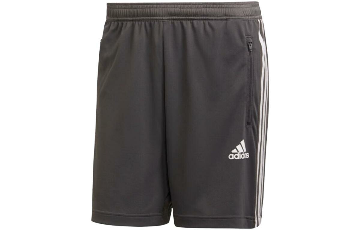 Шорты спортивные