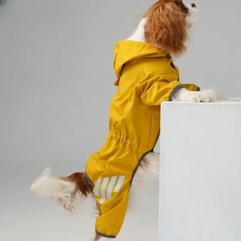 Одежда для собак дождевик, Одежда для собак, дождевик комбинезон для малых и средних пород