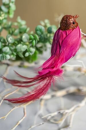 Украшение птичка кудрявый голубок малиновый, на клипсе, перо, 18 см, Kaemingk 521099-1