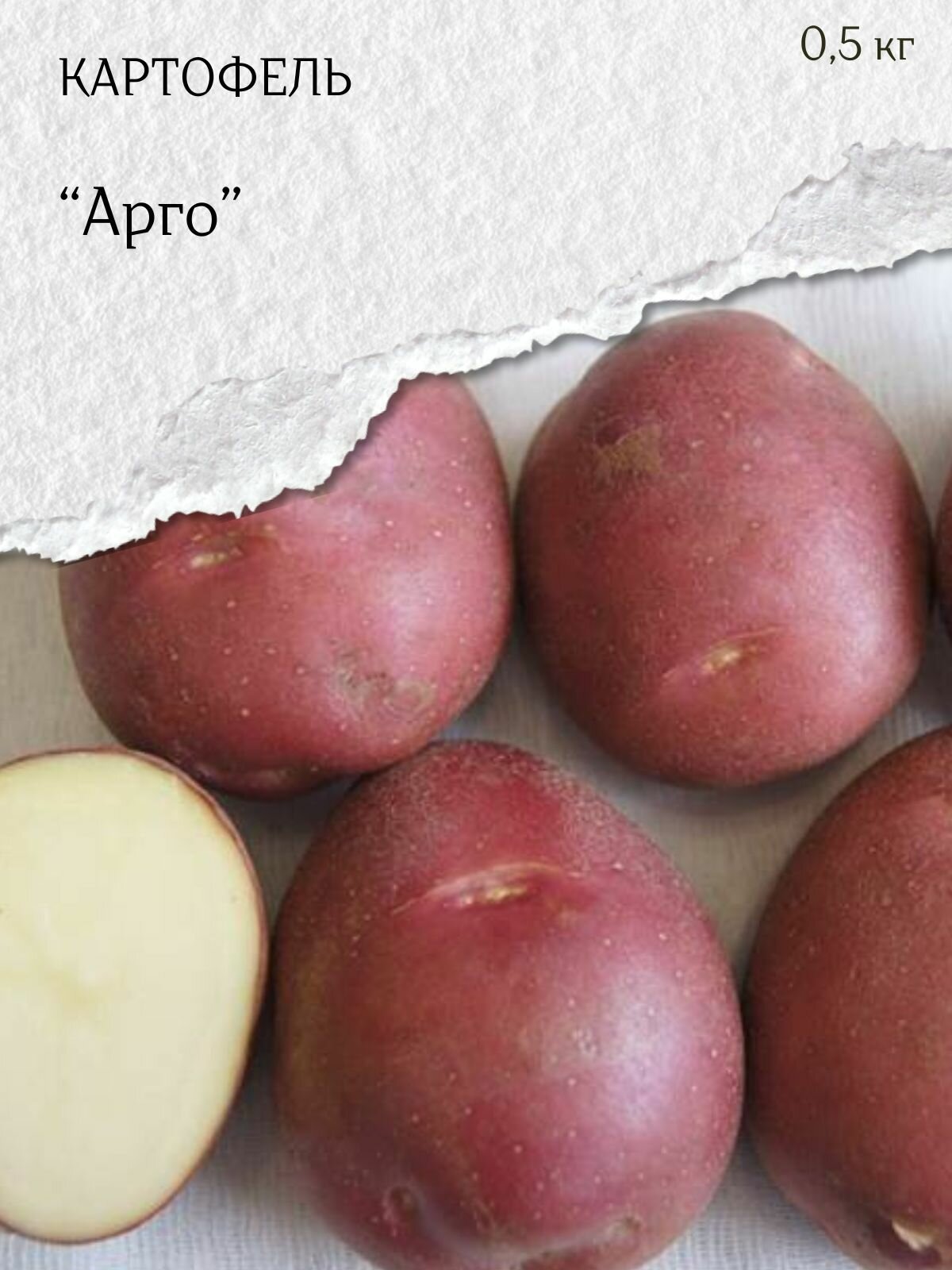 Картофель "Арго", семенной красный 500 гр.