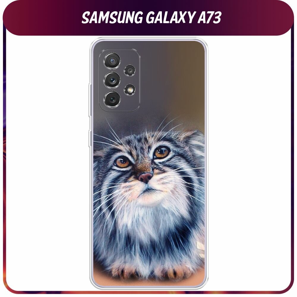 Чехол на Samsung Galaxy A73 / Самсунг Галакси А73 с принтом "Кот манул 2"