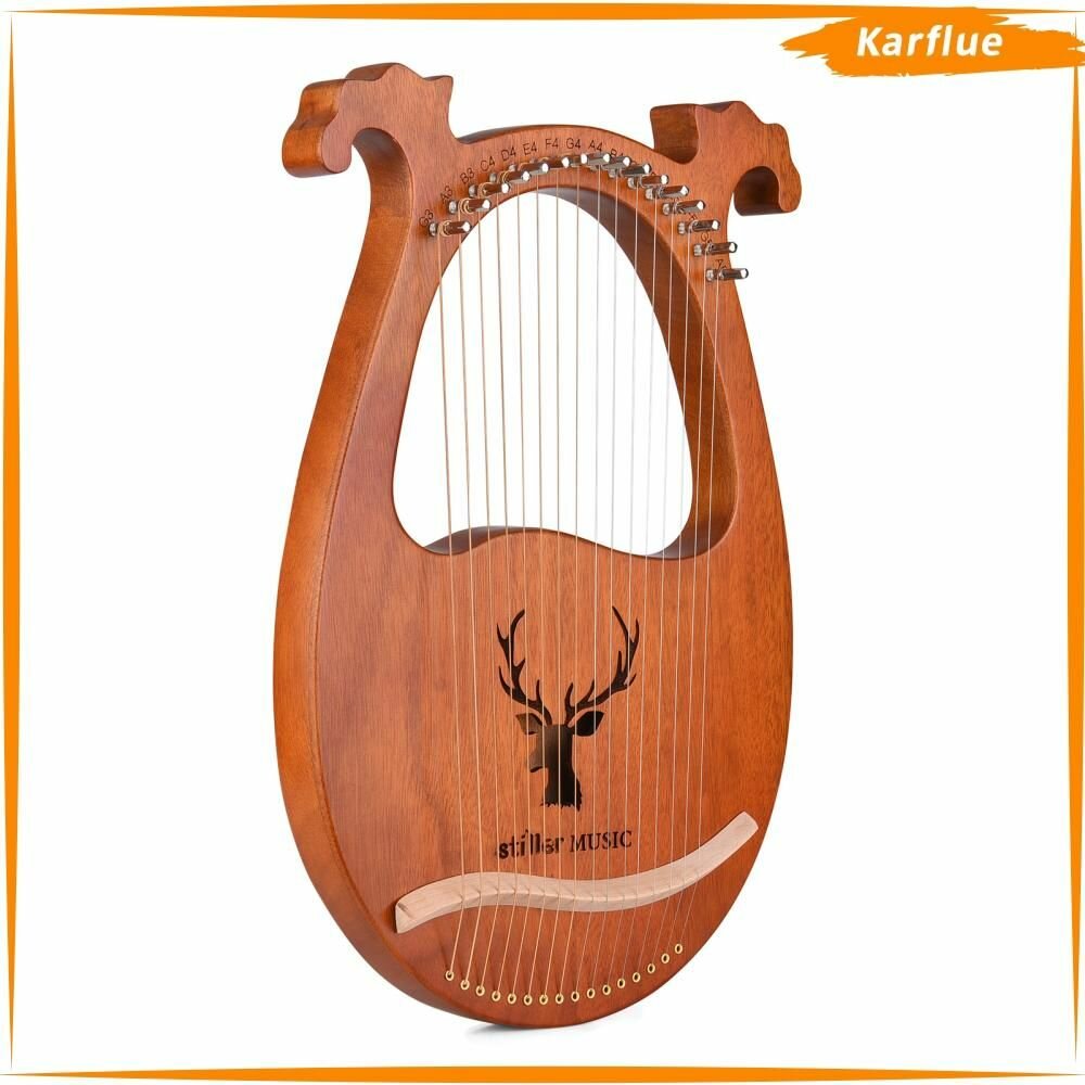 Струнный инструмент